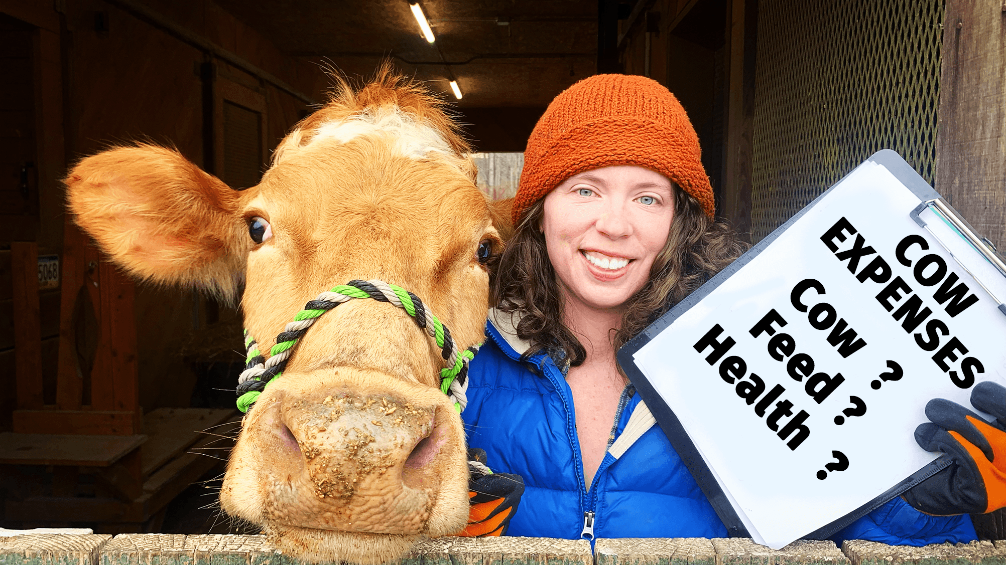 Will a Family Milk Cow Save You Money? Expense Breakdown
